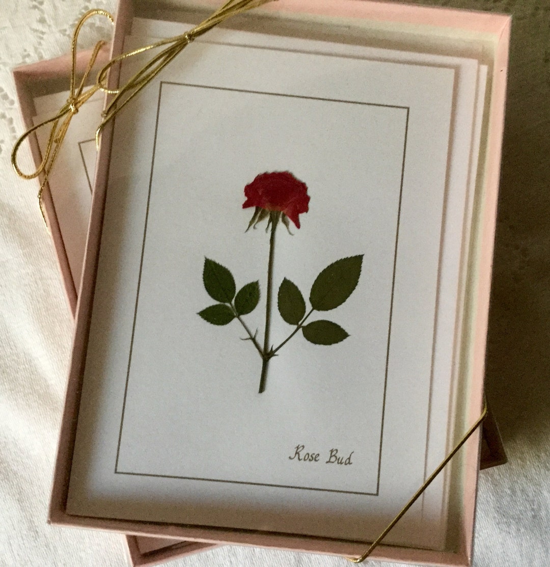 Pressed Flowers Rose Cards, Set of 4, Gift Box for Her - Etsy
