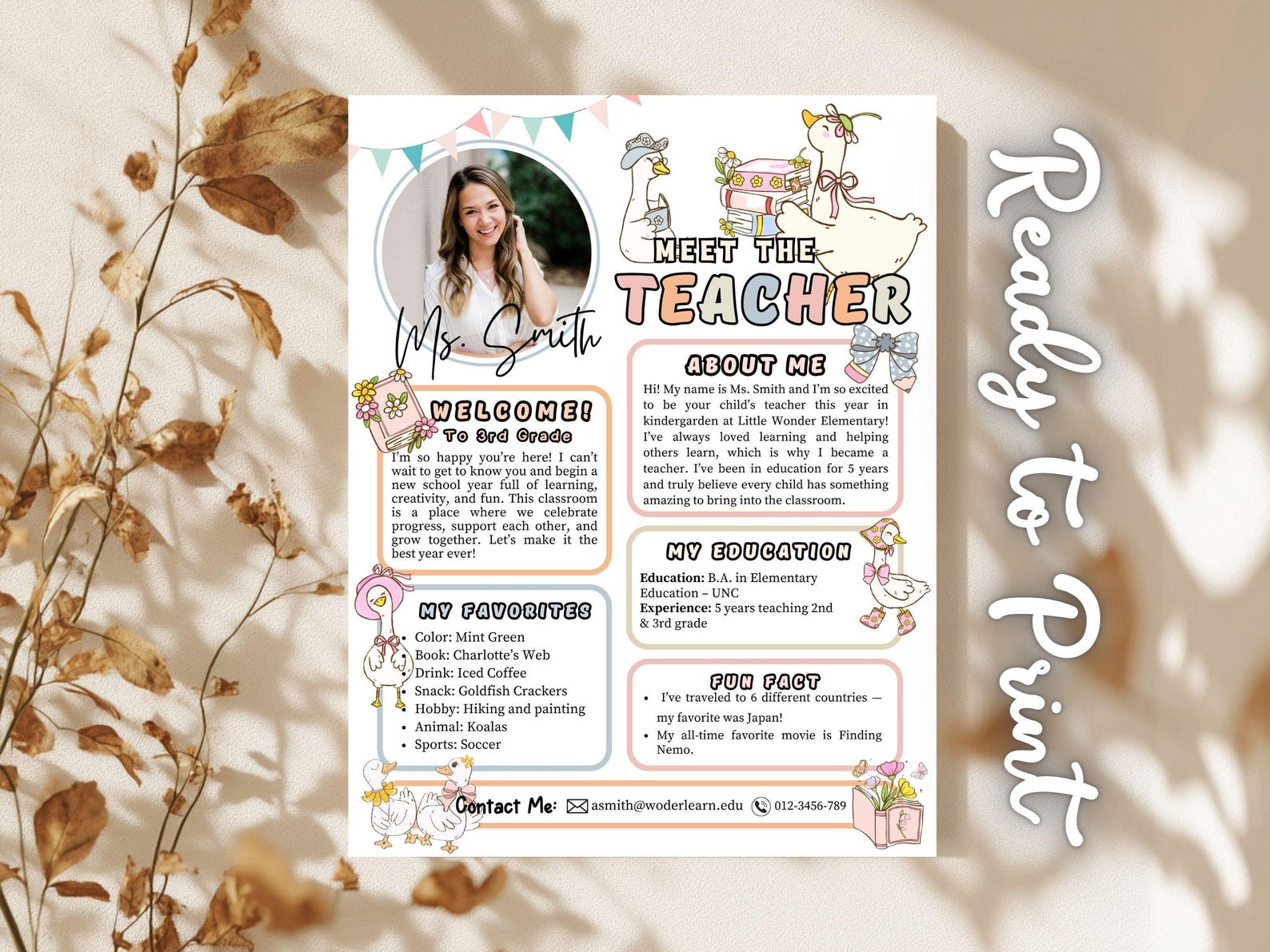 Silly Goose Meet the Teacher Flyer Back to School Welcome Letter Silly ...