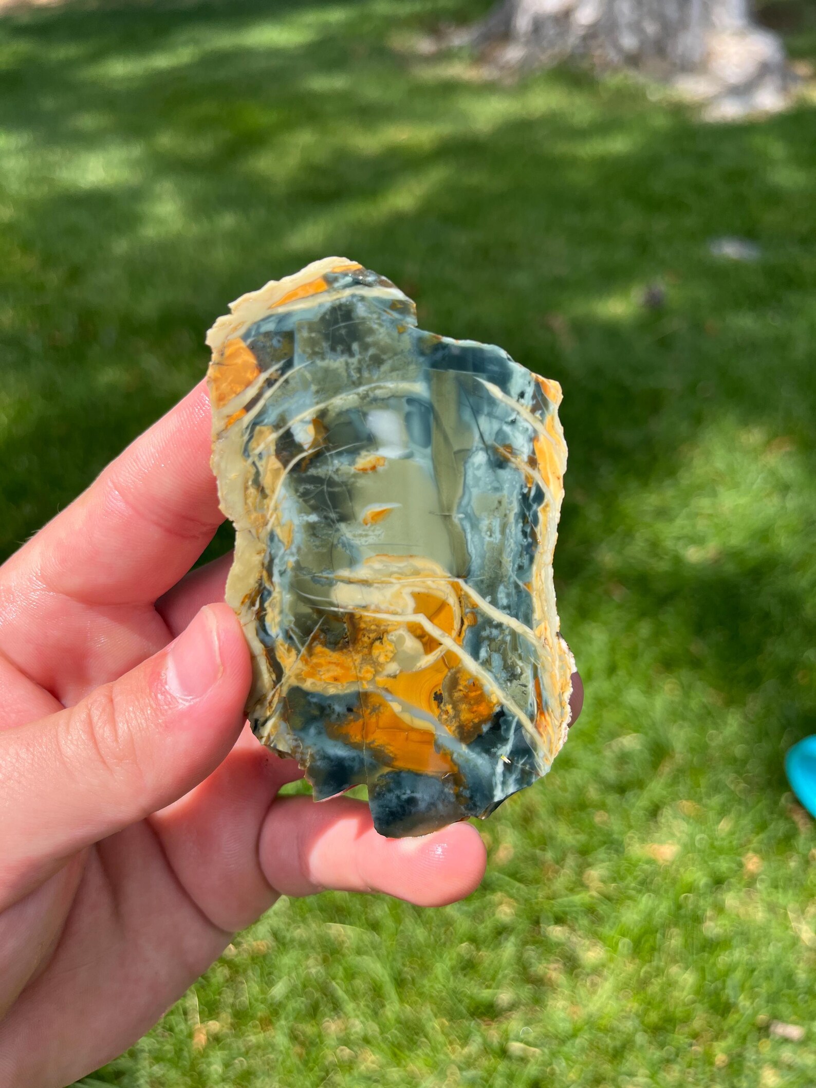 Morrisonite End Cut Specimen - Etsy