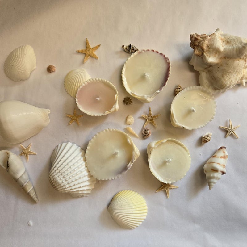 Seashell Candle - Etsy