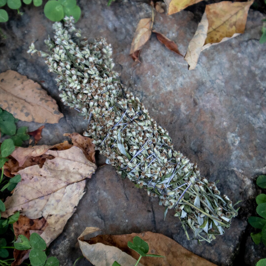 MUGWORT Fumigation Stick - Etsy