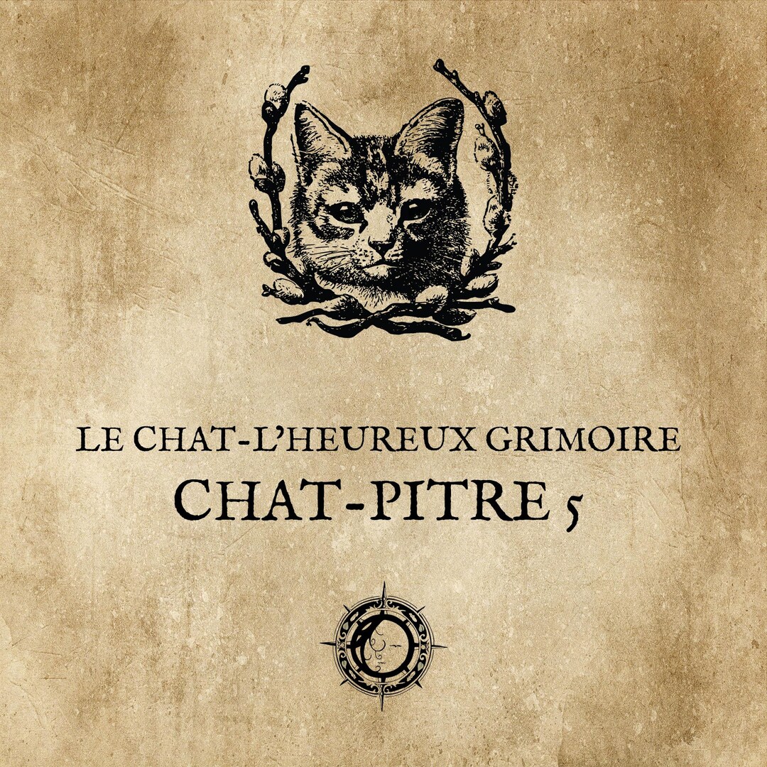 The CAT TALES GRIMOIRE: Cat-pter 5 - Etsy