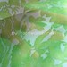 Silk Fabric Spring Green Floral Print Silk Organza Half Yard - Etsy