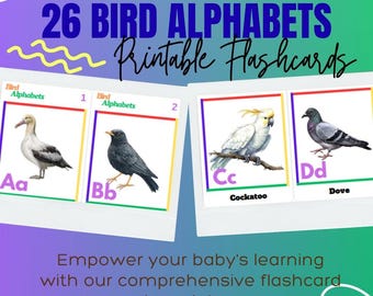 Bird Alphabet Flashcards, Early Learning Printable (A-Z PDF Download ...