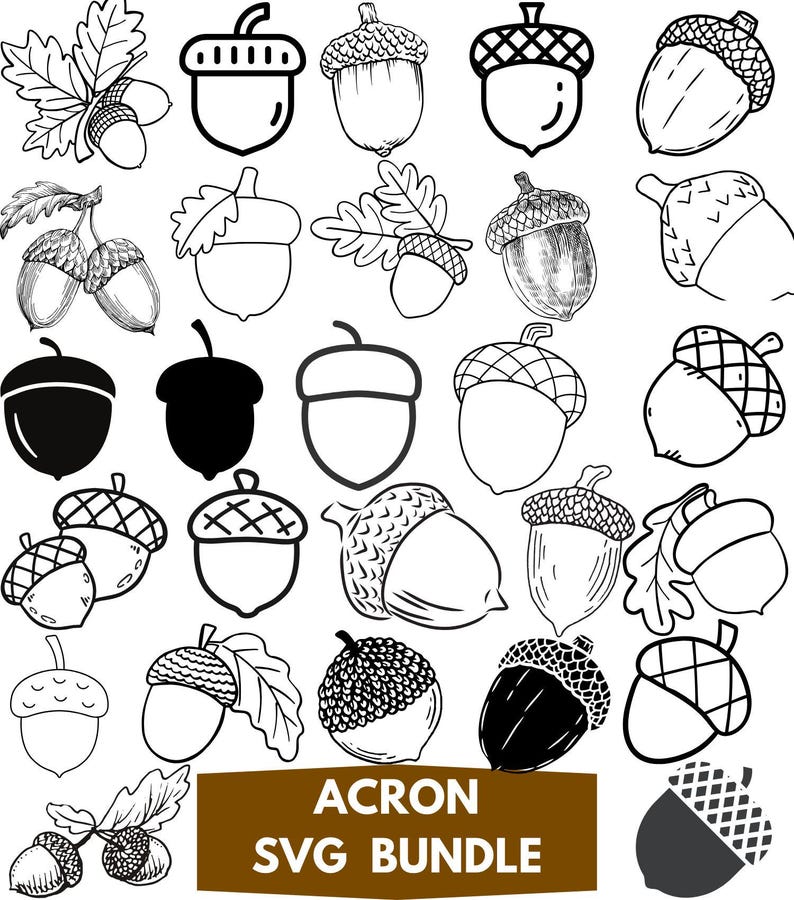 Acorn SVG Bundle: Clipart, Silhouette, Cut Files (digital Download) - Etsy