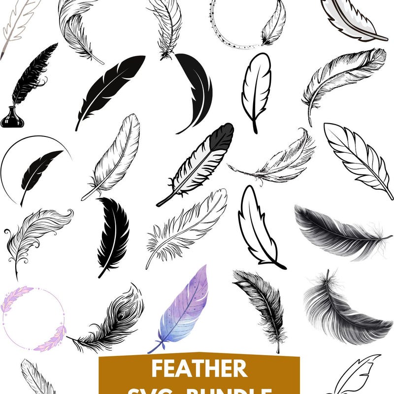 Hawk Feathers Svg - Etsy