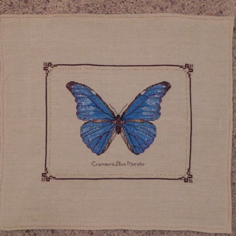 Blue Morpho Butterfly Cross Stitch Picture - Completed & Handmade - Etsy