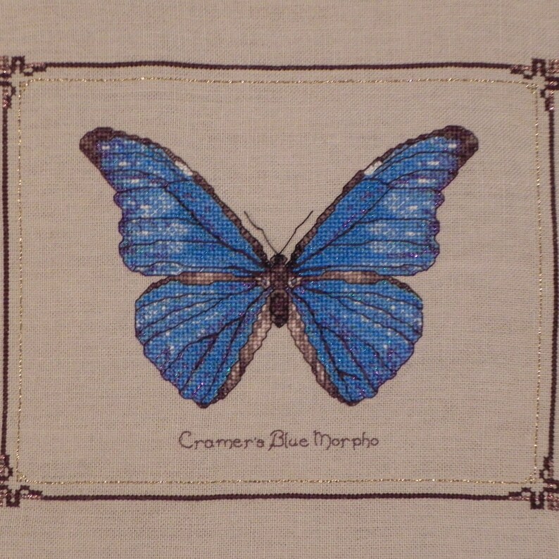 Blue Morpho Butterfly Cross Stitch Picture Completed & Handmade - Etsy