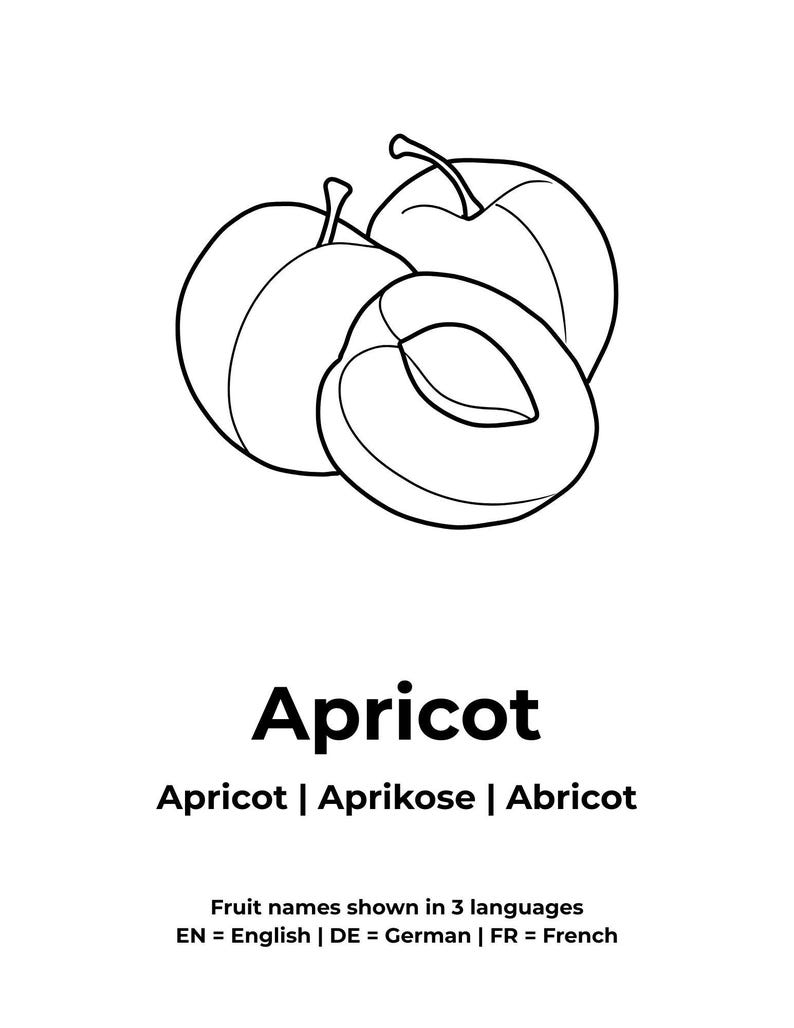 Trilingual Fruit Coloring & Tracing Book A–Z | English, German, French ...