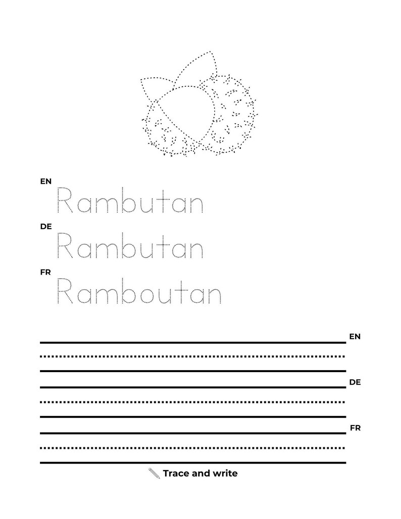 Trilingual Fruit Coloring & Tracing Book A–Z | English, German, French ...