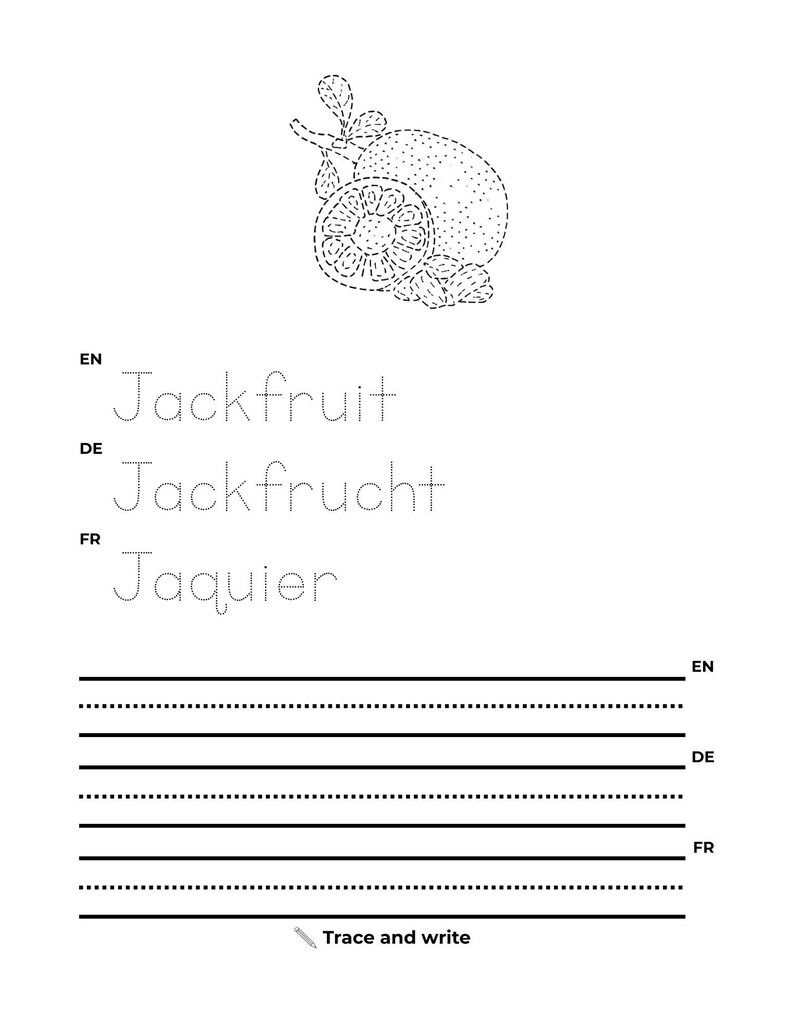 Trilingual Fruit Coloring & Tracing Book A–Z | English, German, French ...