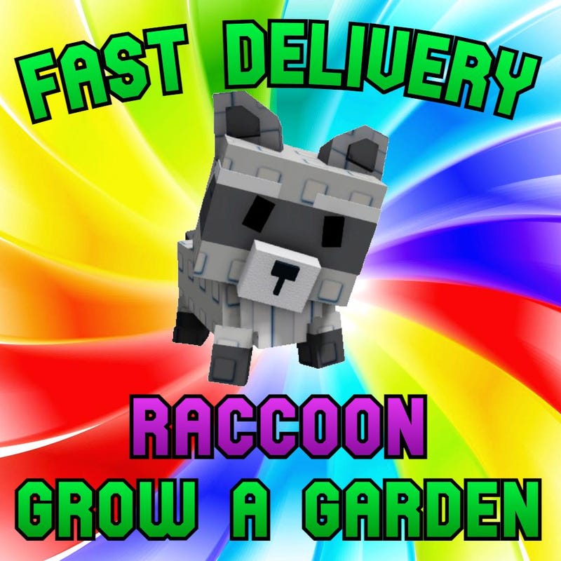 Racoon Gag - Etsy UK