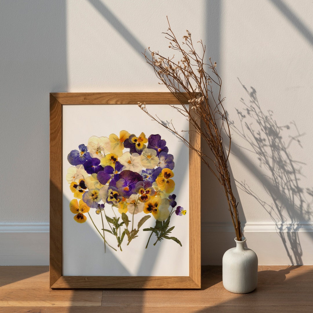 Pressed Flower Art, Botanical Print, Herbarium Specimen Dried Flower ...