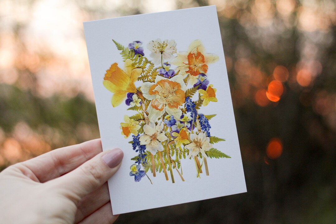 Pressed Flowers Greeting Card, Floral Stationery, Blank Greeting Cards ...