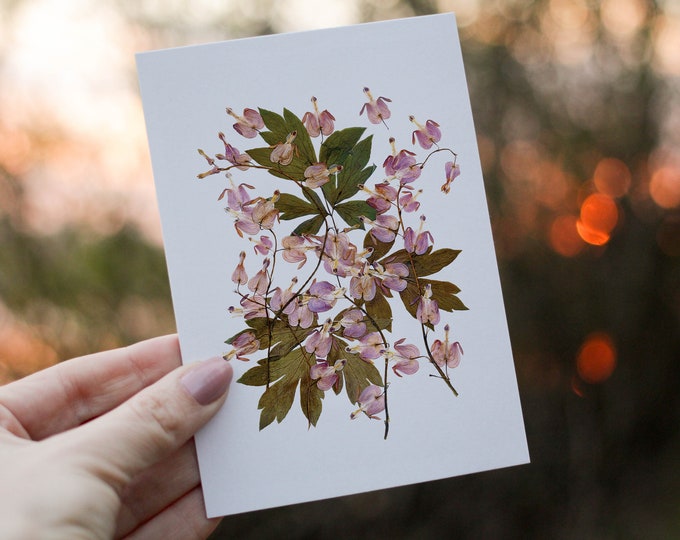 Pressed Flowers Greeting Card, Floral Stationery, Blank Greeting Cards ...
