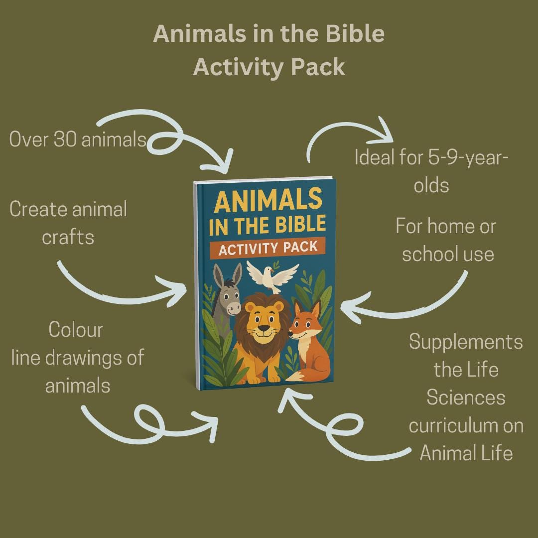 Animals in the Bible Activity Pack: Coloring Pages, Crafts, Word ...