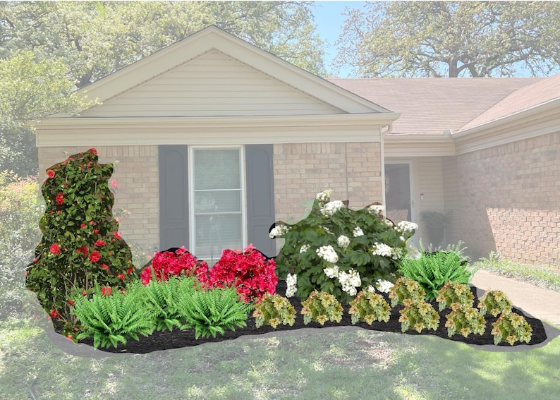 Shade Flower Bed Design Plan for Zones 7-9 - Etsy