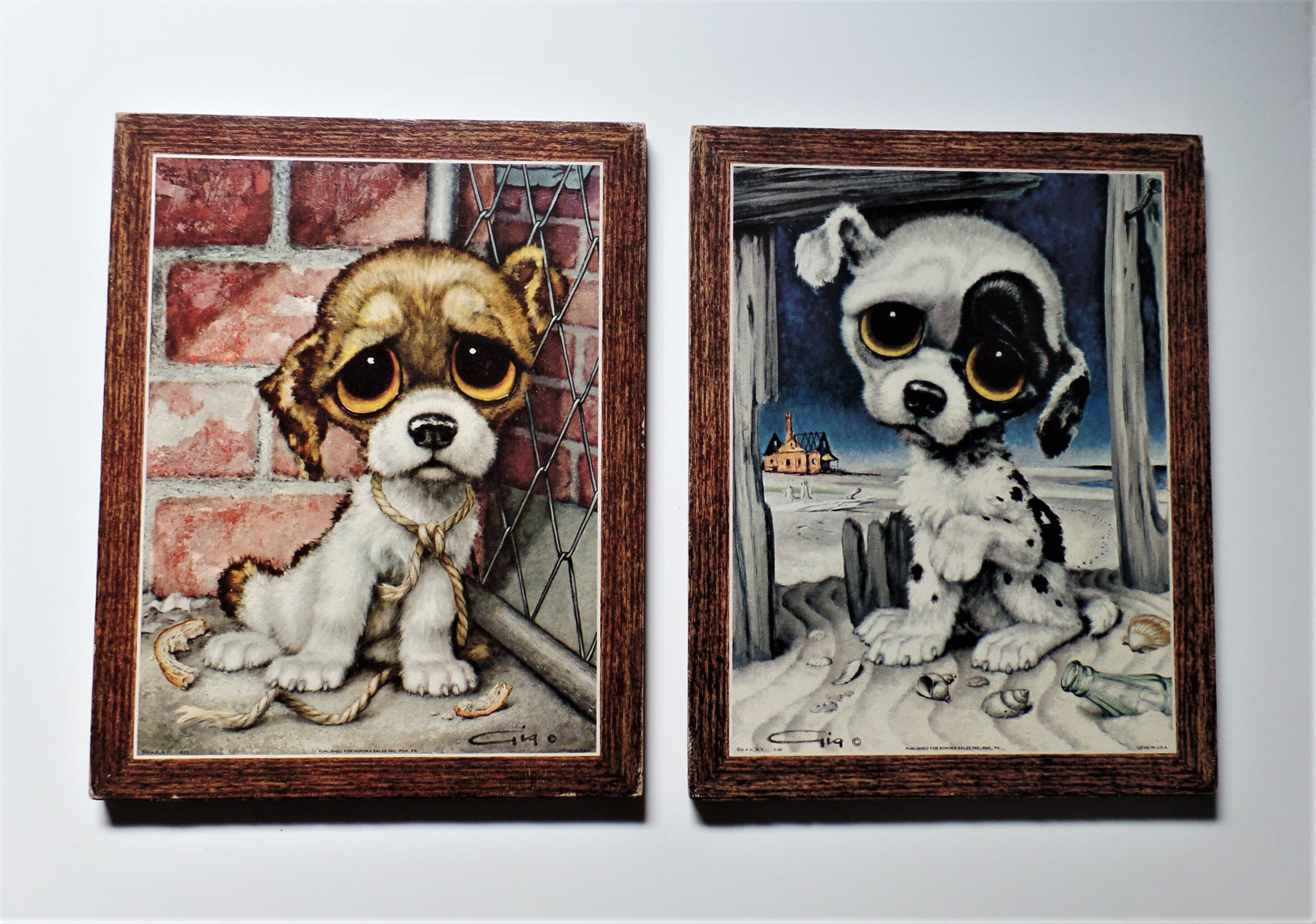 Big Eyed Dog Drawings