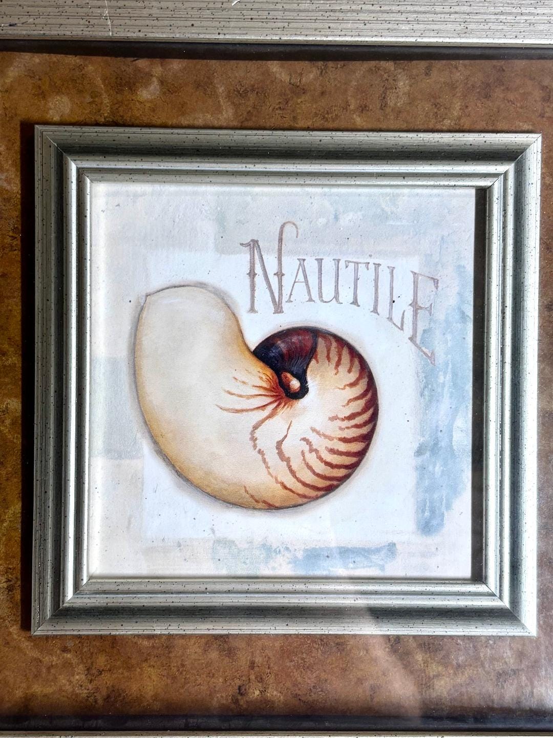 Nautilus Shell Print C 1980 - Etsy