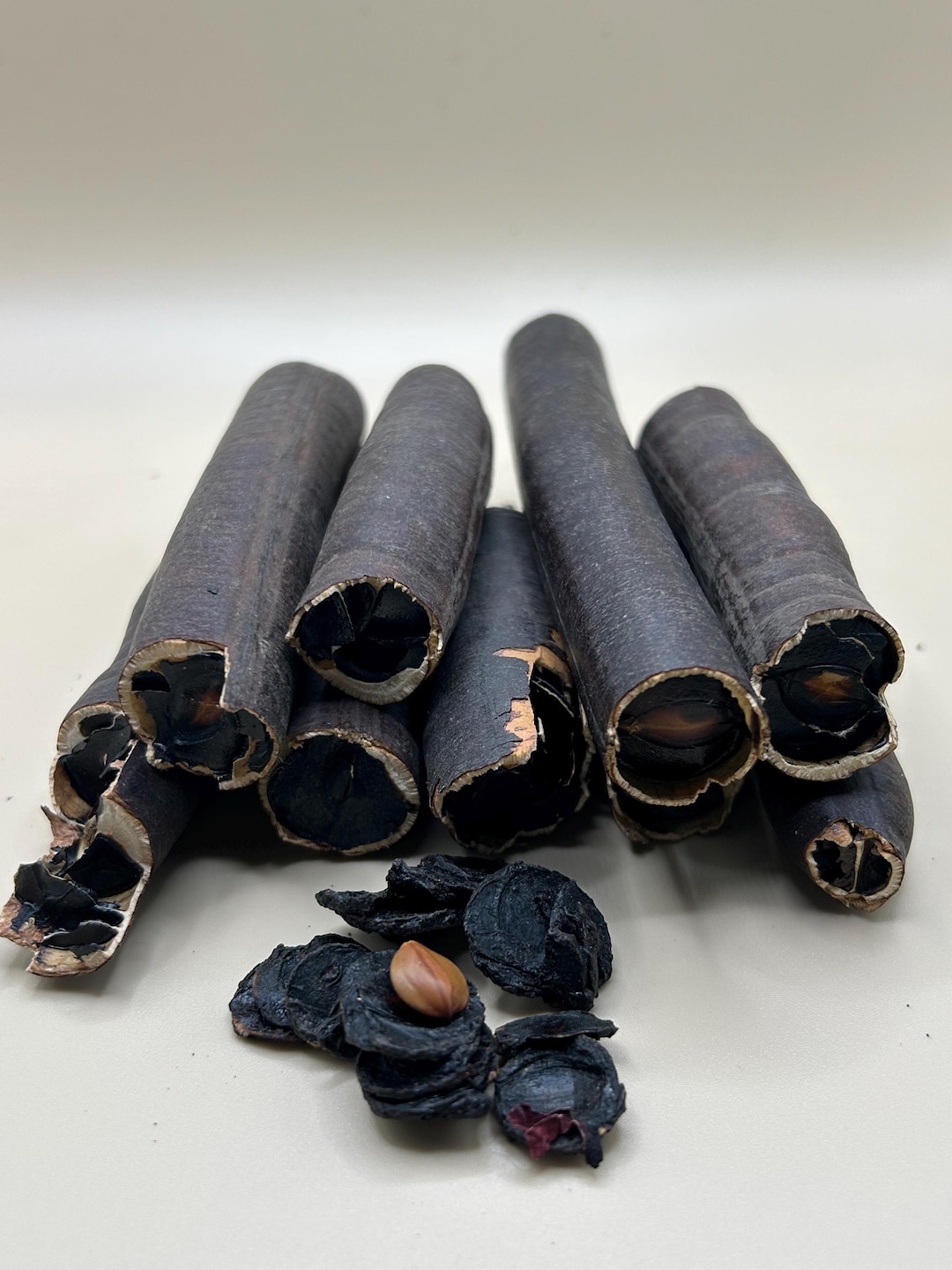 Cassia Fistula Dried Black Amaltas Pods Loose Herbal Tea Ingredient ...