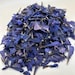 Vibrant Blue Dried Borage Flower Whole Petals Culinary Craft Loose Leaf ...