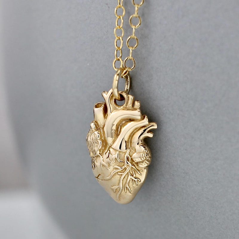 Real Realistic Heart - Etsy
