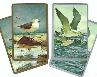 AntiqueWhimsy - Etsy