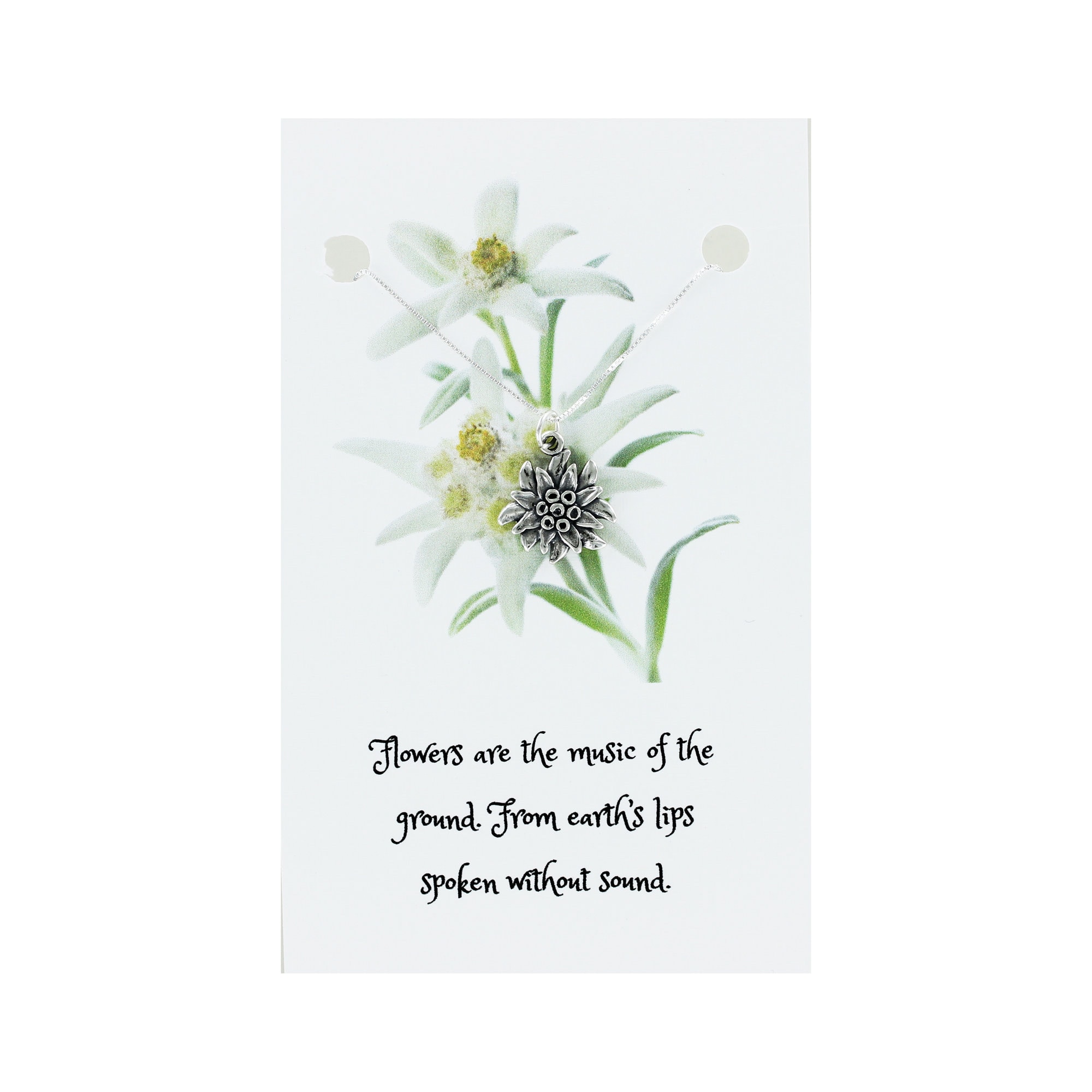 Edelweiss Flower Quotes 10 Bloom Quotes Ideas | Bloom Quotes, Quotes,
