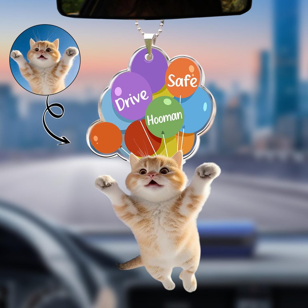 Drive Safe Hooman - Personalized Pet Photo Rear View Mirror Accessory ...