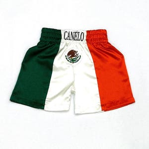 CUSTOM Made Mexican Flag Boxing Robe Trunk Set Boxing Outfit ...