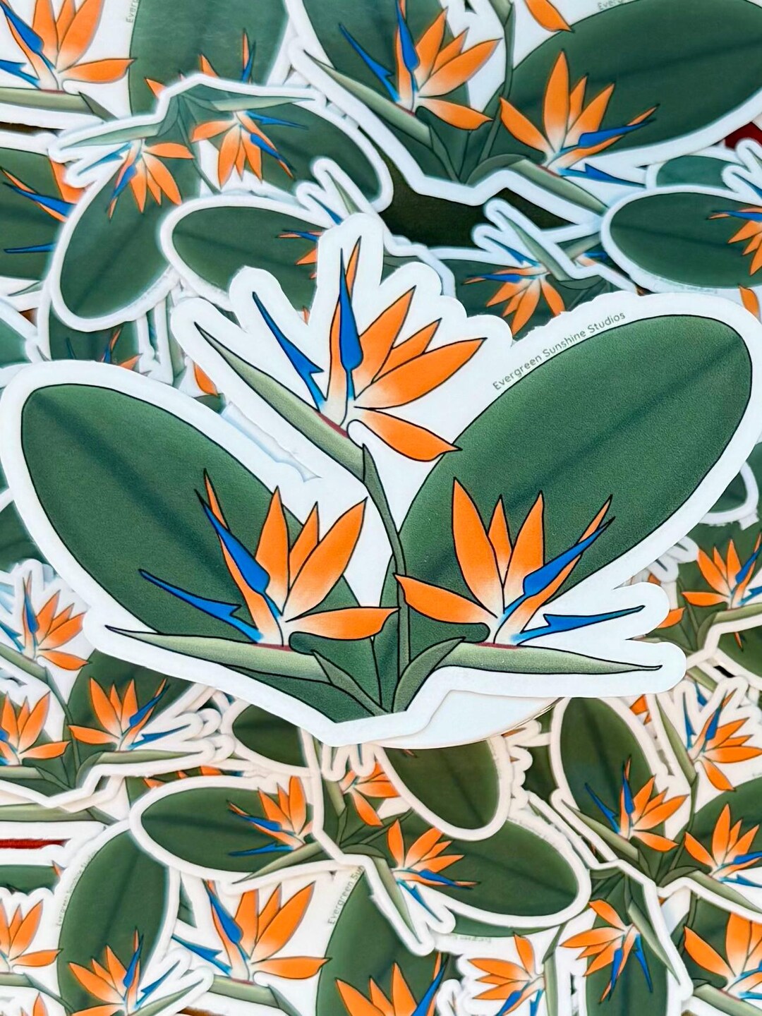 Bird of Paradise Sticker - Waterproof Vinyl - Etsy