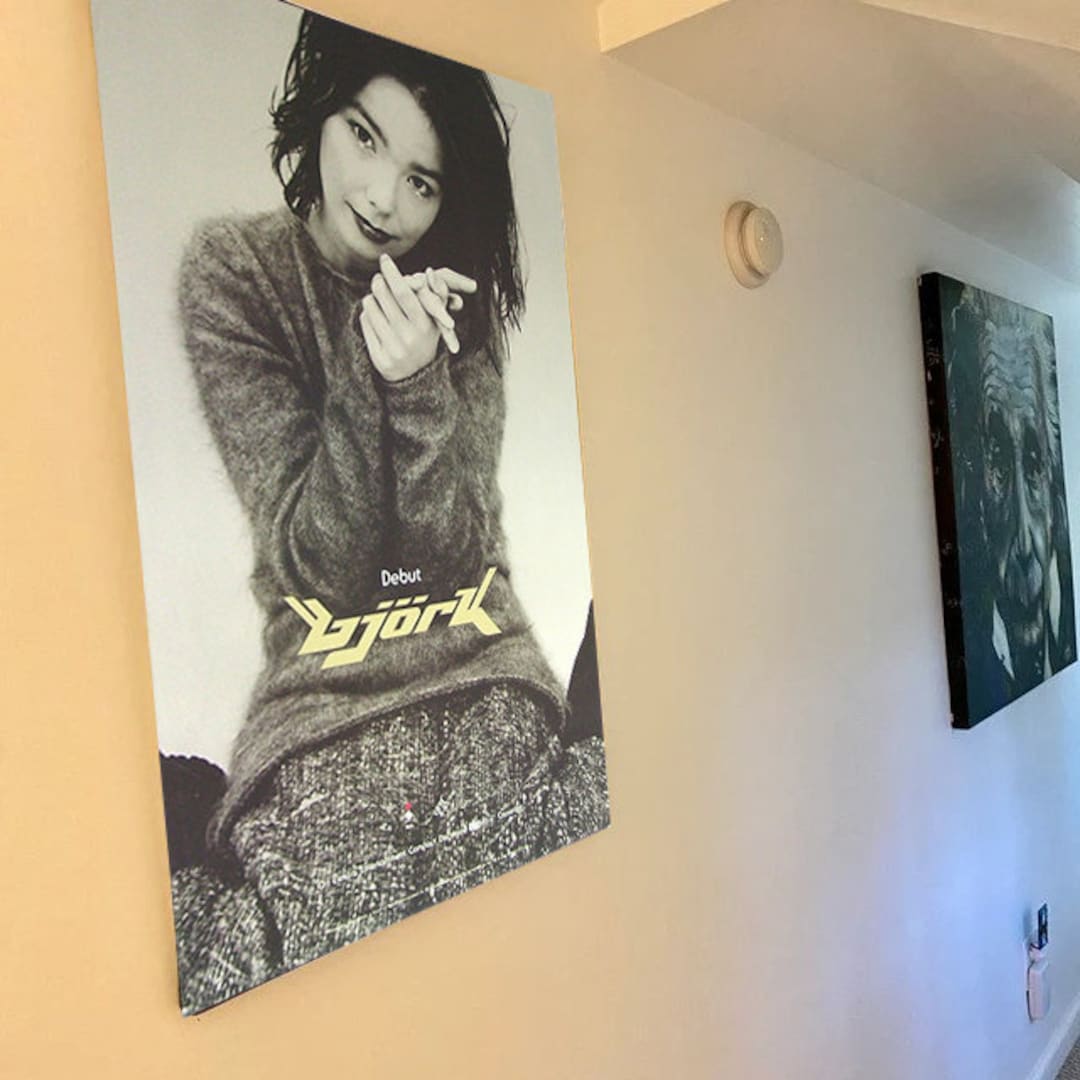 Bjork Debut Album Cover Poster, Home Decor No Framed - Etsy