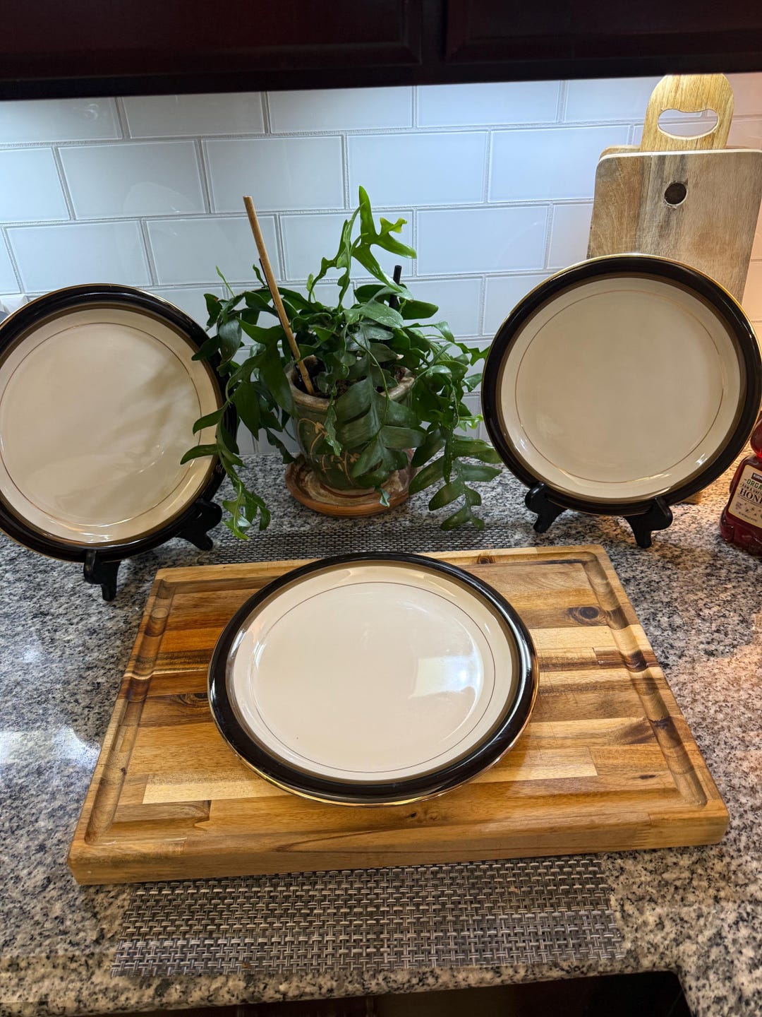 Vintage Mikasa Cappuccino Dinner Plates Set of 3 – Transition Pattern ...