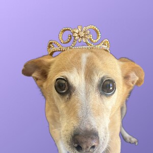 Fancy Glamorous Dog Crown/tiara With Crystals! - Etsy