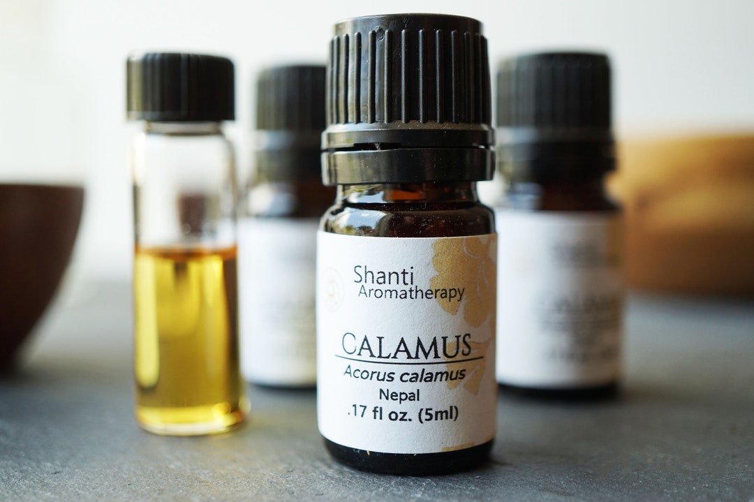 Calamus Essential Oil - Pure Essential Oil - Etsy