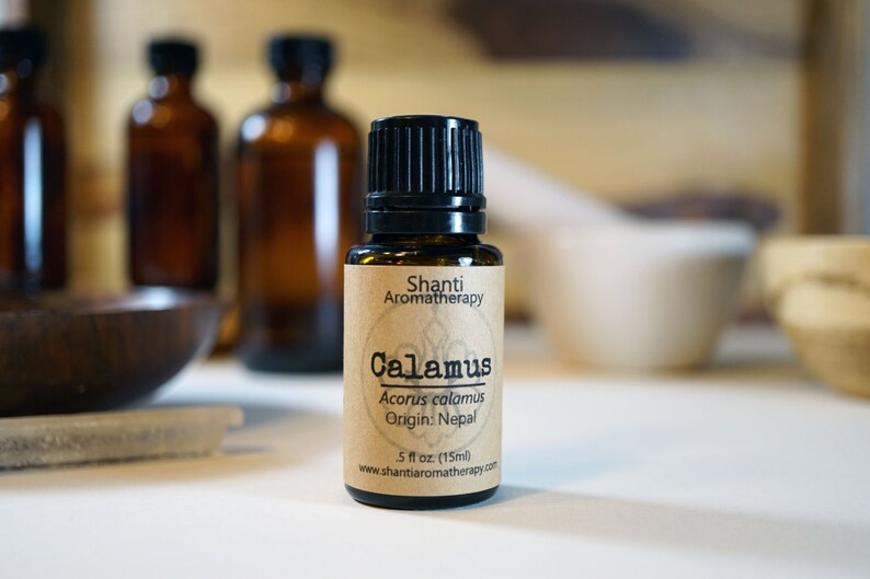Calamus Essential Oil Pure Essential Oil | Etsy