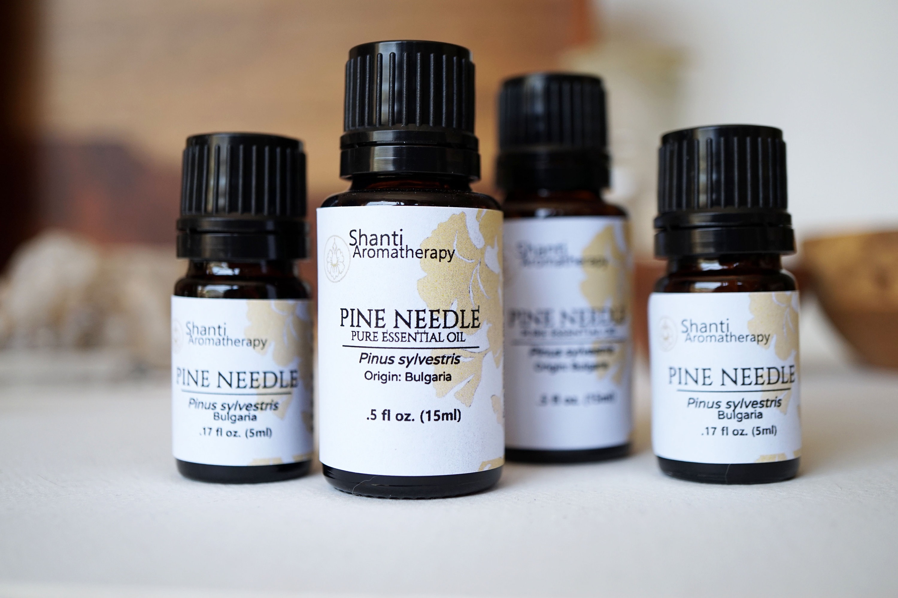 Pine Needle Essential Oil - Pinus Sylvestris Oil - Pure Essential Oil ...