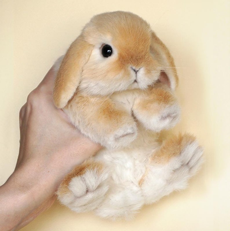 Realistic Bunny Toy, Poseable Plush Rabbit, Handmade Stuffed Animal - Etsy