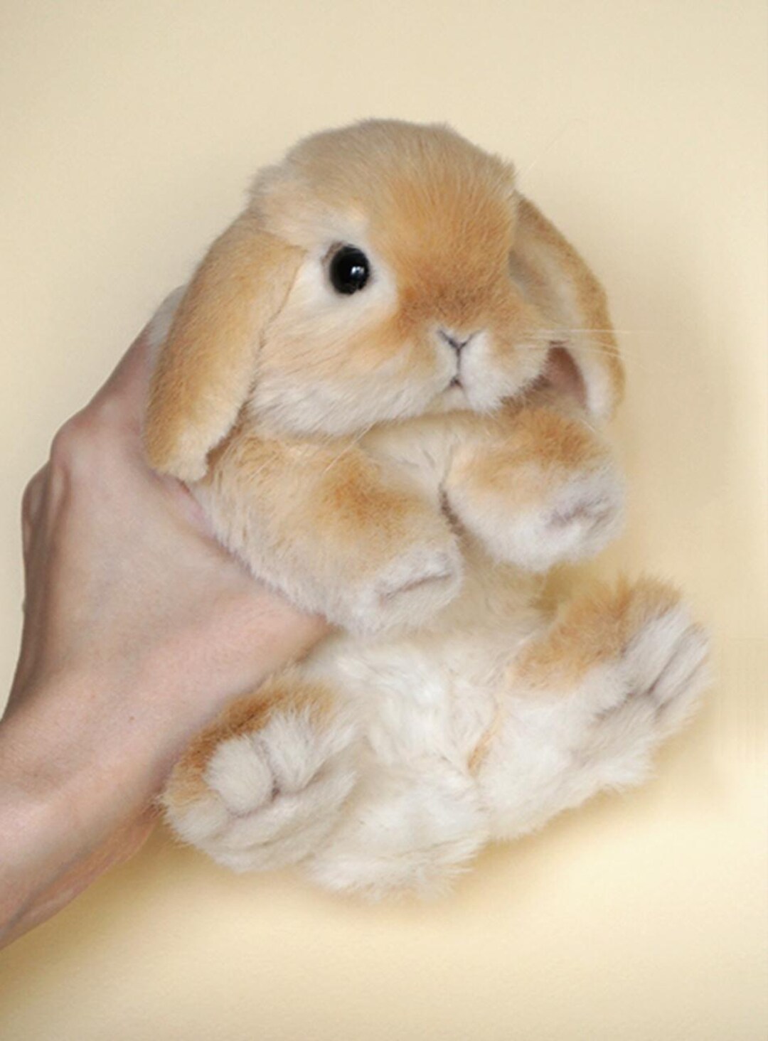 Realistic Bunny Toy, Poseable Plush Rabbit, Handmade Stuffed Animal - Etsy