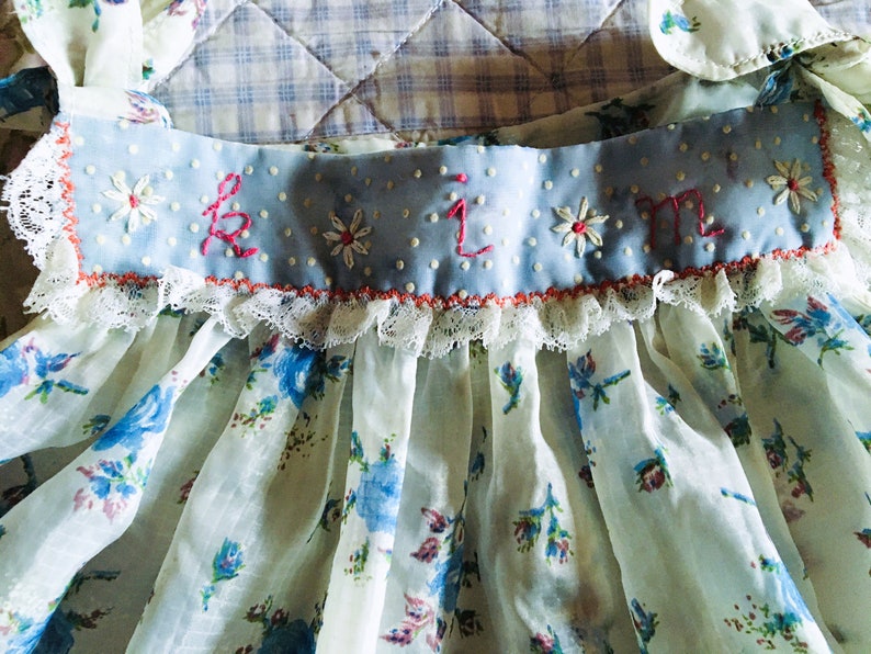 Absolutely Adorable Vintage Sheer Nylon Blue Pink Roses Lace Etsy