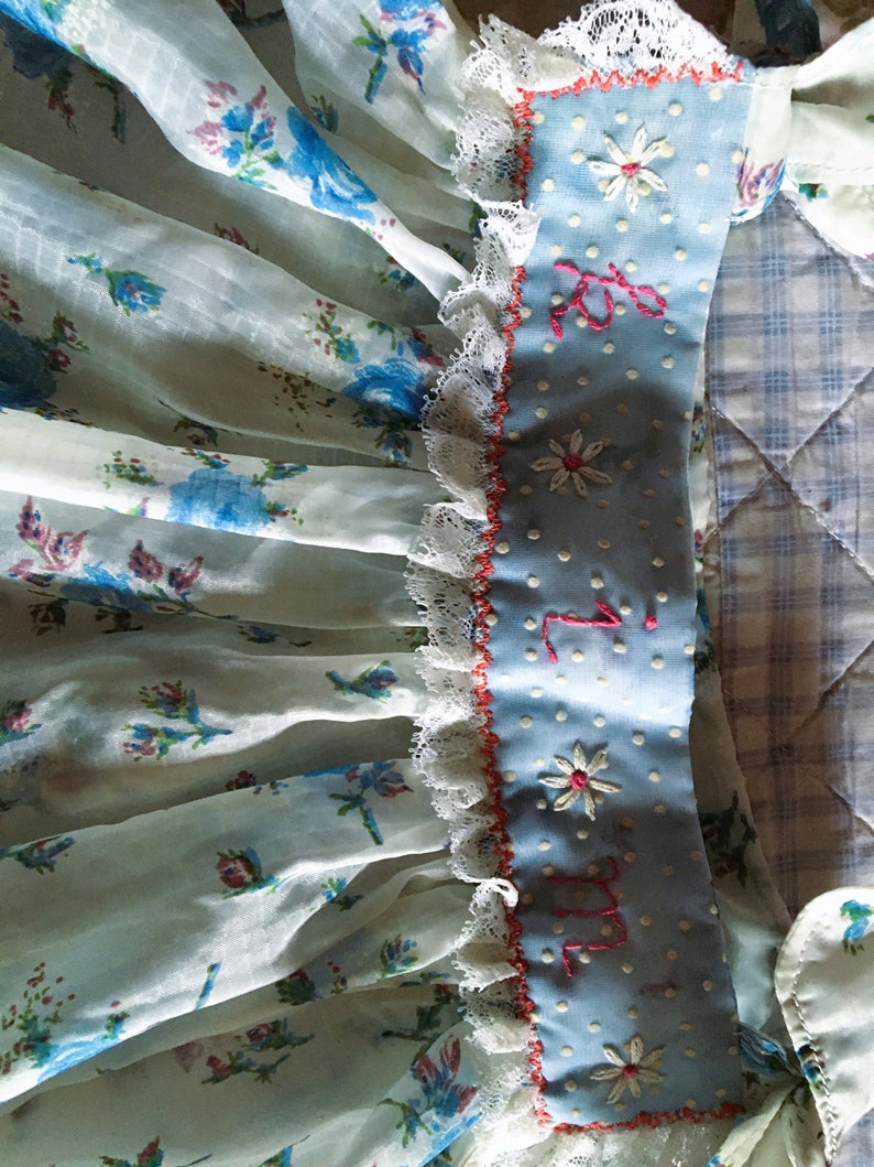 Absolutely Adorable Vintage Sheer Nylon Blue Pink Roses Lace Etsy