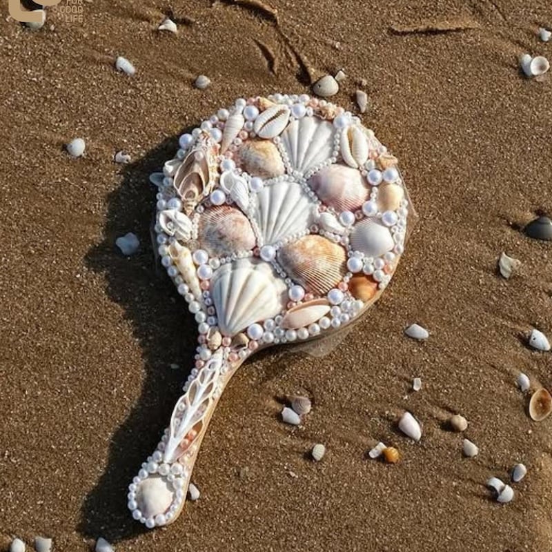 Seashell Mirror - Etsy