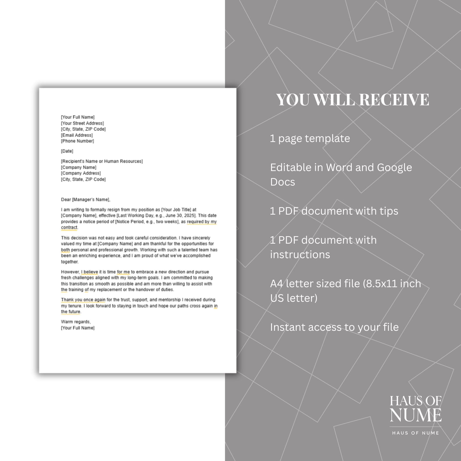 Professional Resignation Letter Template Editable in Google Docs and ...