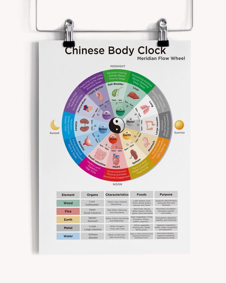 Chinese Medicine Body Clock Chart | TCM Meridian Flow | TCM 24 Hour ...