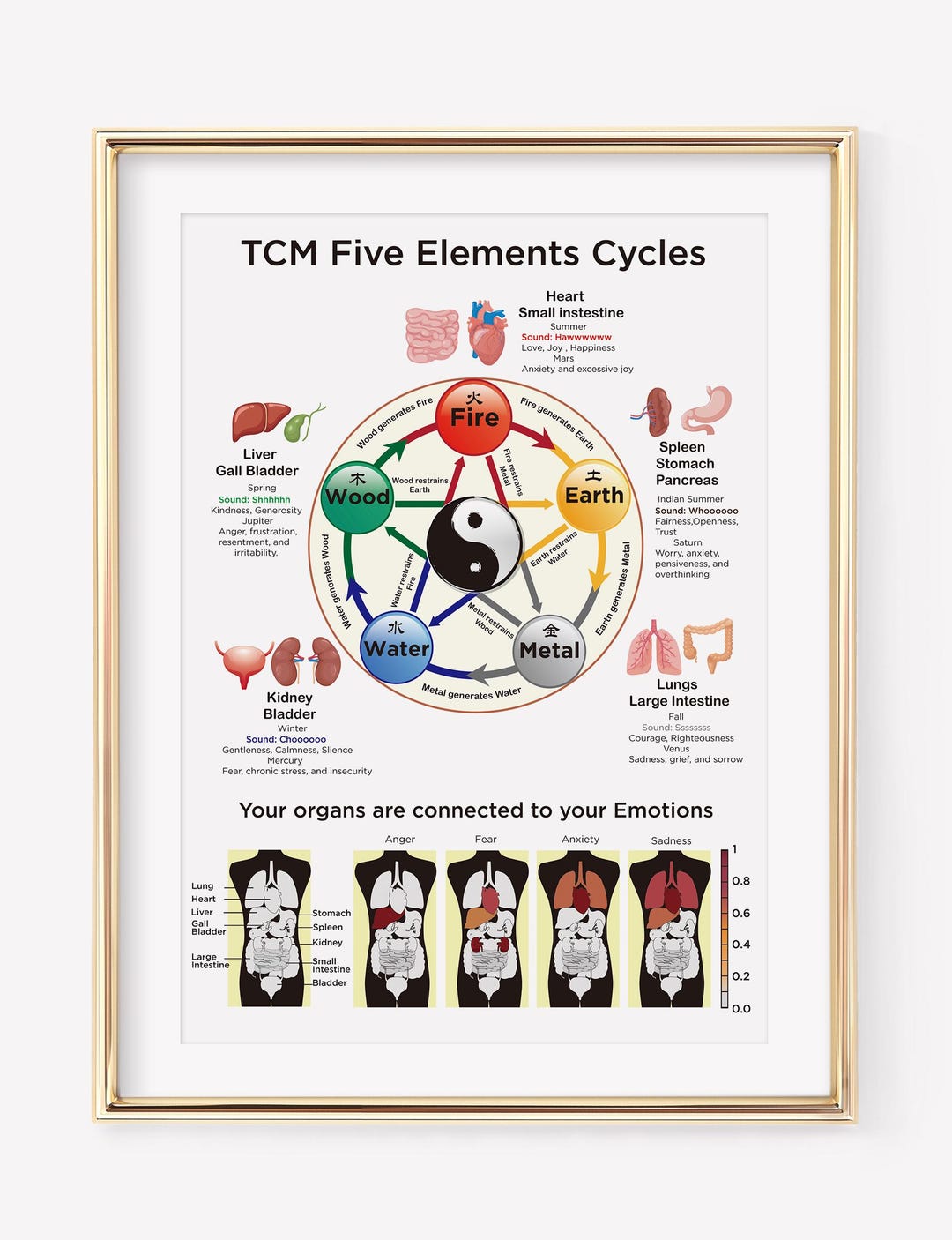 TCM Five Element Cycle | TCM Five Element Theory Wheel | Traditional ...