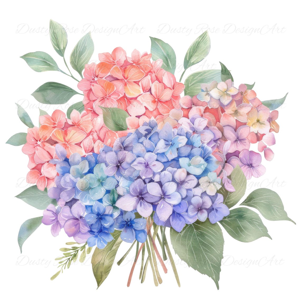 Hydrangea Watercolor Clipart Set: Floral PNG Images (digital Download ...