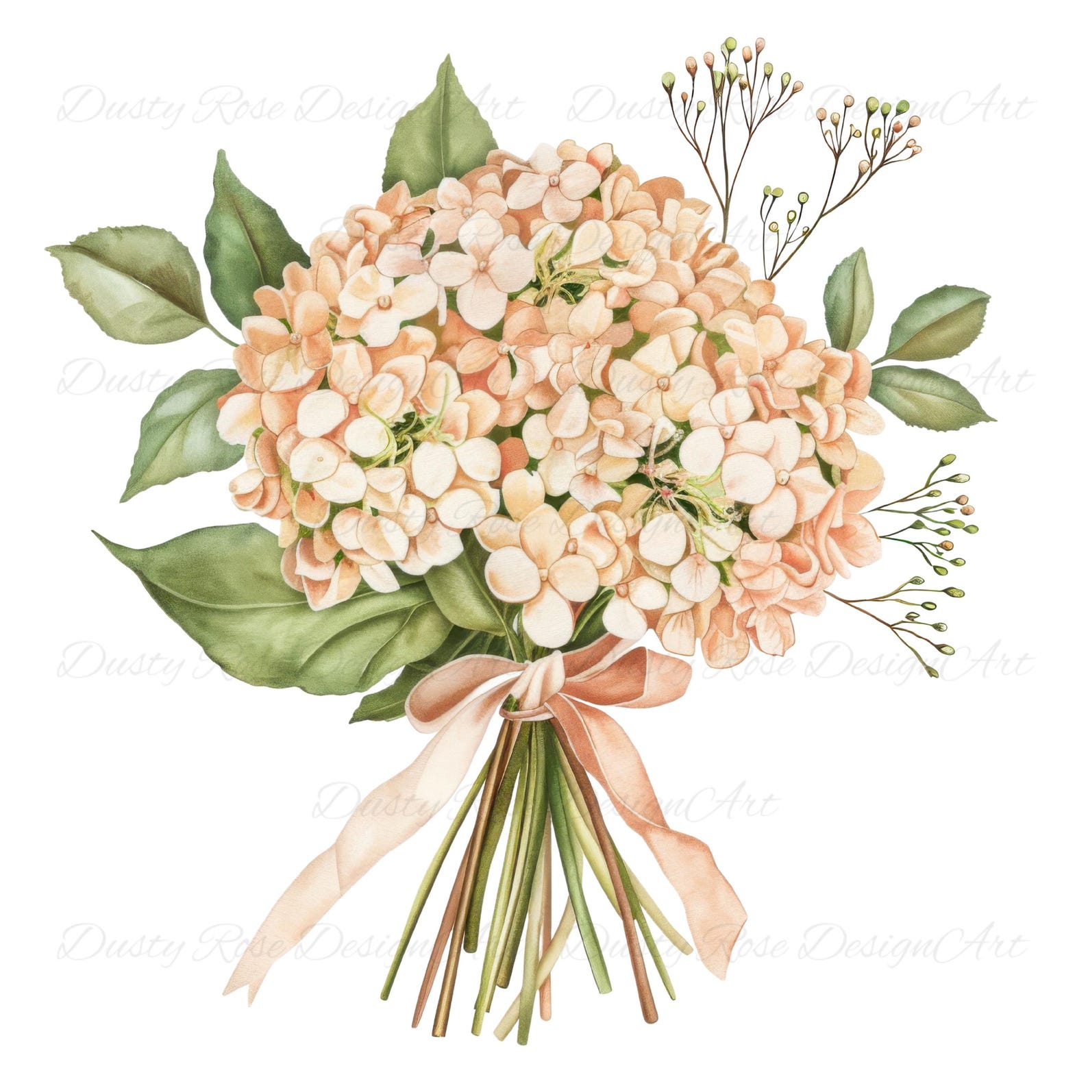 Hydrangea Watercolor Clipart Set: Floral PNG Images (digital Download ...