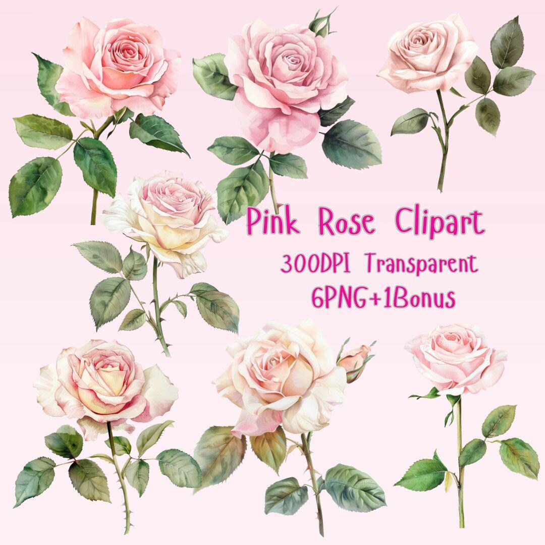 Watercolor Pink Rose Clipart PNG Bundle: DIY Crafts (digital Download ...