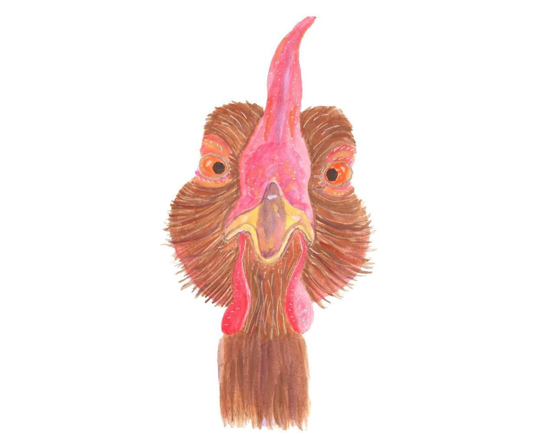 Nosy Chicken Portrait, Judgy Hen Wall Art, Angry Bird Illustration ...