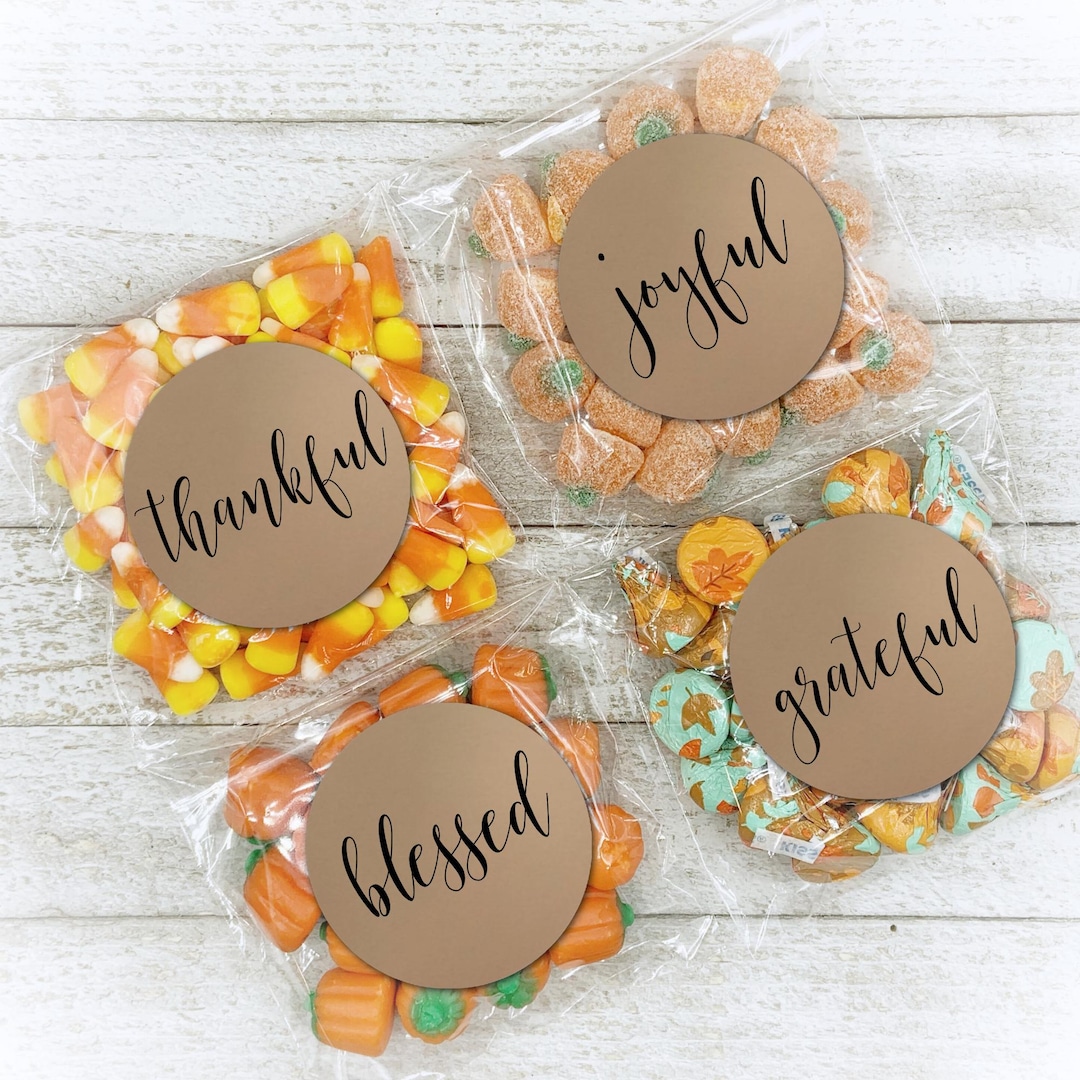 Thanksgiving Decor- Stickers and Bags, Set of 20, Thankful Grateful ...